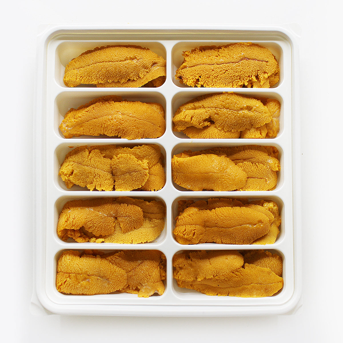 A+ Uni (Fresh 10 Pocket Tray) – Maruhide Marine Products