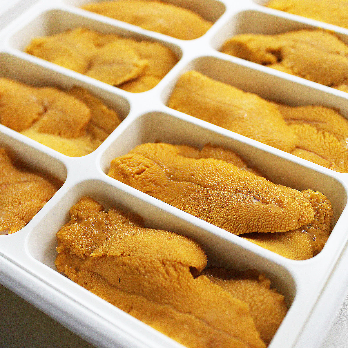 A+ Uni (Fresh 10 Pocket Tray) – Maruhide Marine Products