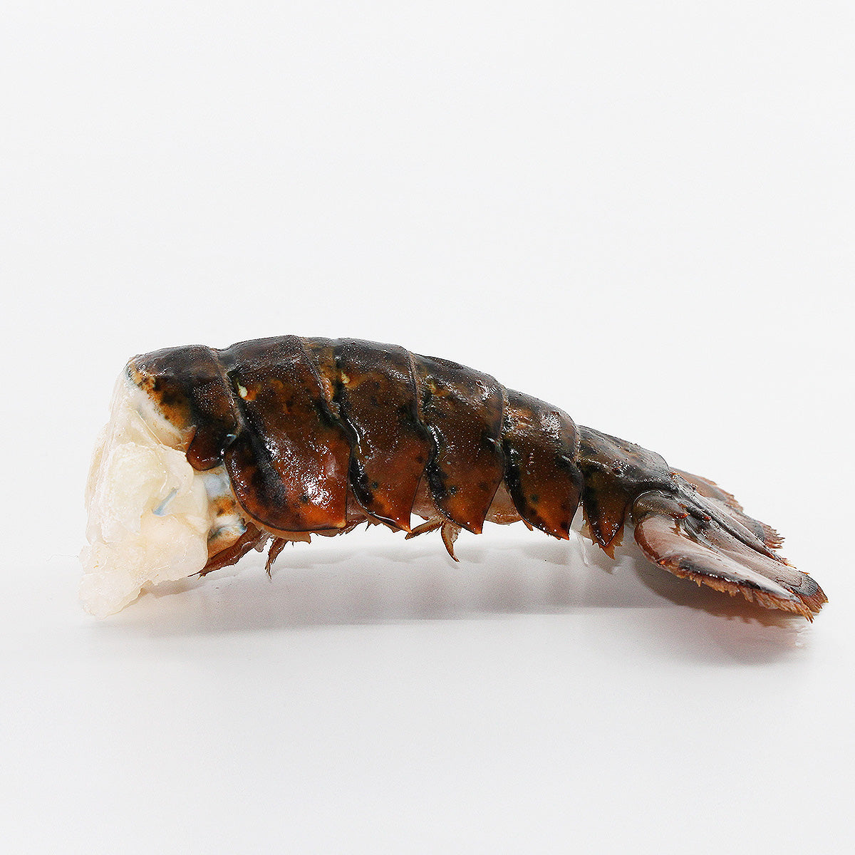 Wild Cold-Water Lobster Tails (2pcs) – Maruhide Marine Products